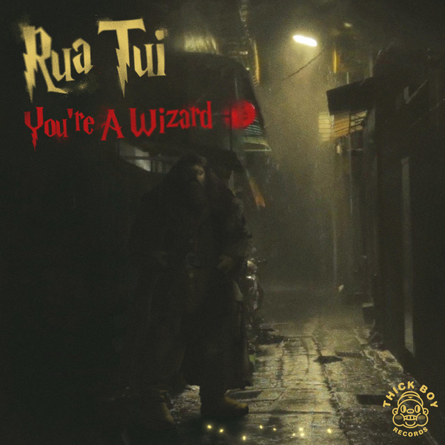 You're A Wizard - Single by Rua Tui | Spotify