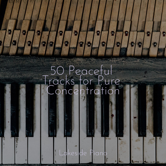 50 Peaceful Tracks for Pure Concentration - Album by SD | Spotify