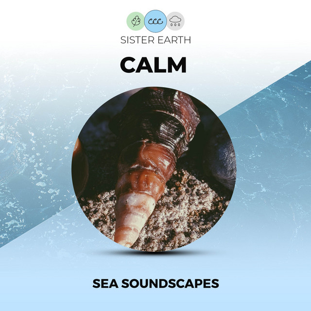 Calm Sea Soundscapes - Album by Winds and Oceans | Spotify