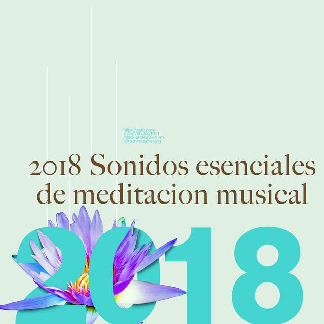 2018Sonidos esenciales de meditacion musical - Album by Meditación ...
