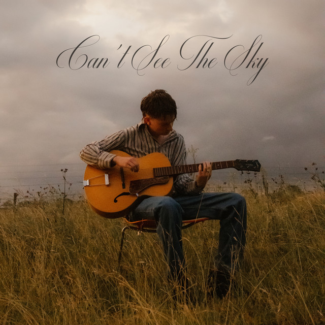 Can't See The Sky - Single by Lewis Love | Spotify