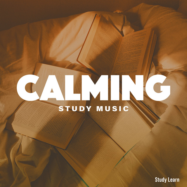 Study Learn | Spotify