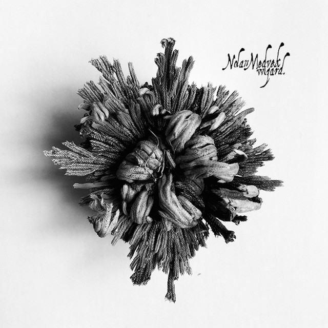 The Midnight Duel - song and lyrics by Nolan Medvek | Spotify