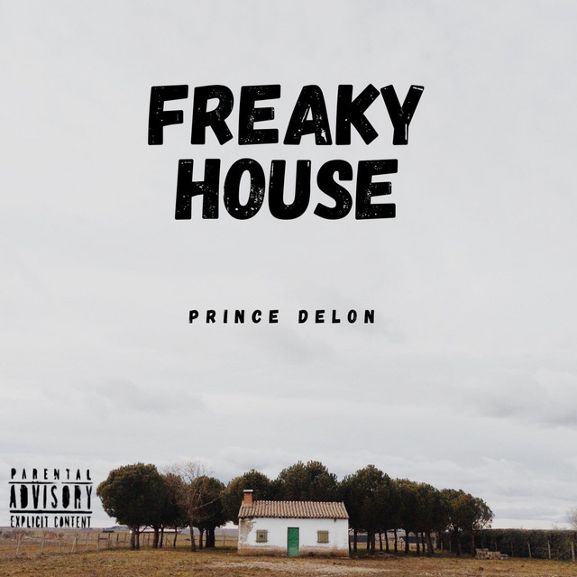 Freaky House - Single by Prince Delon | Spotify