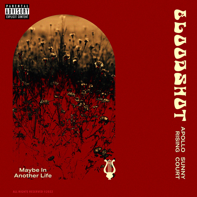 Bloodshot - Single by Apollo Rising | Spotify
