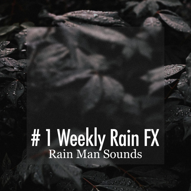 BPM and key for Blinding Rainfall by Rain Man Sounds | Tempo for ...