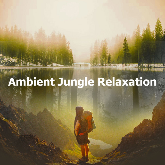 Ambient Jungle Relaxation - Album by Jungle Sounds | Spotify