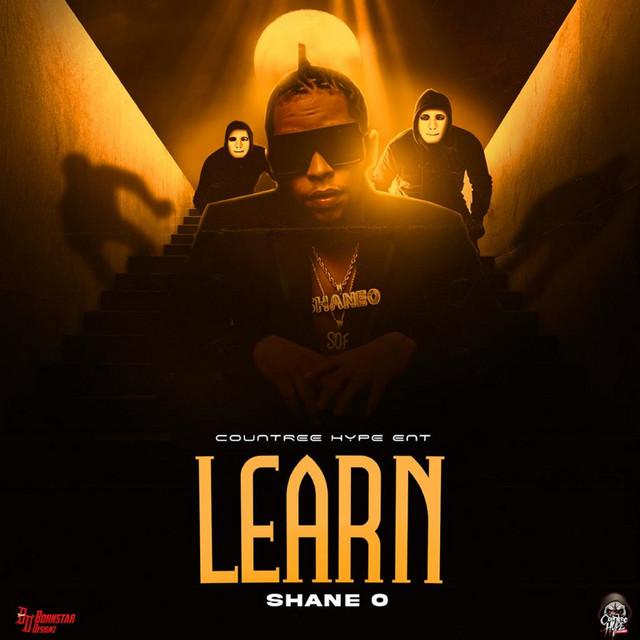 Learn - Single by Shane O | Spotify