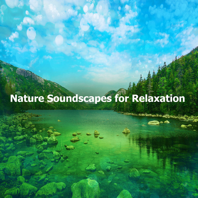 Nature Soundscapes for Relaxation - Album by Nature Soundscapes | Spotify