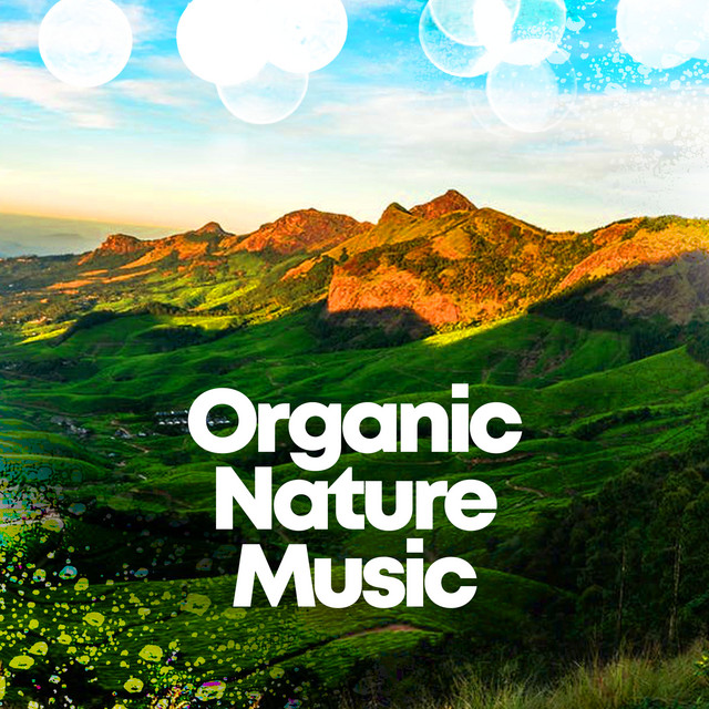 Organic Nature Music ! ! ! ! - Album by Música para Dormir Con ...