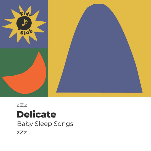 zZz Delicate Baby Sleep Songs zZz - Album by Sleeping Mozart Relaxing ...