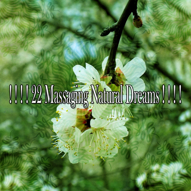 22 Massaging Natural Dreams ! ! ! ! - Album by Forest Sounds | Spotify