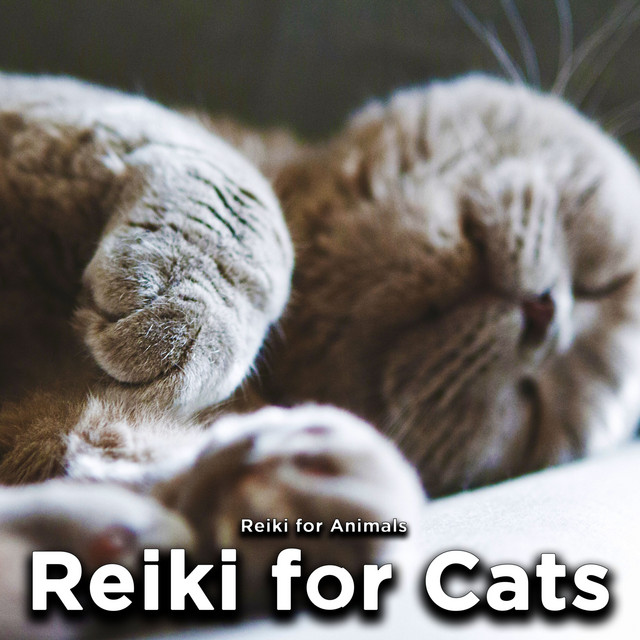 Reiki for Cats - Album by Reiki for Animals | Spotify