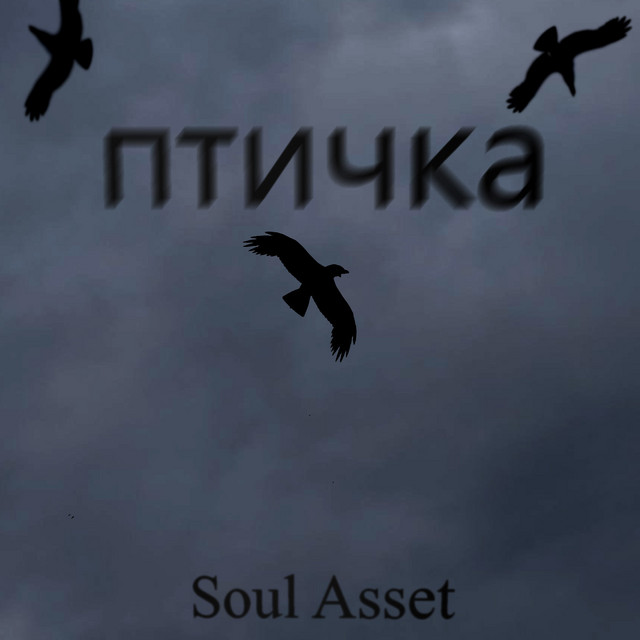Soul Asset | Spotify