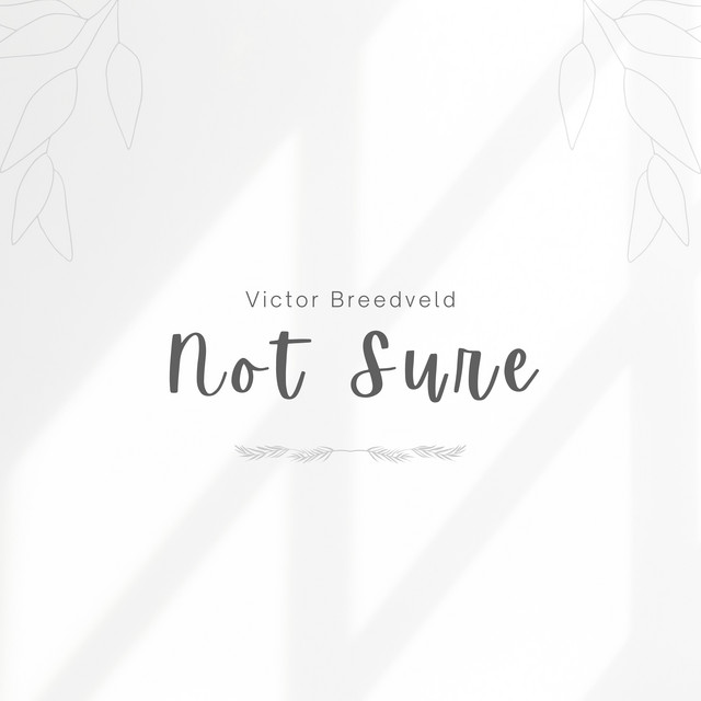 Not Sure - Single by Victor Breedveld | Spotify