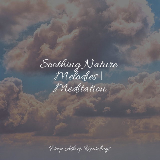 Soothing Nature Melodies | Meditation - Album by Ocean Waves For Sleep ...