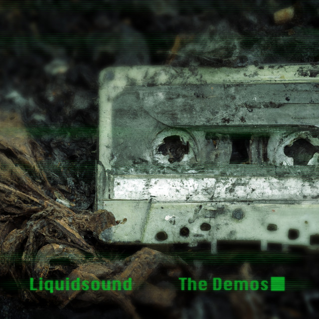 The Demos - Album by Liquidsound | Spotify