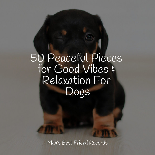 50 Peaceful Pieces for Good Vibes & Relaxation For Dogs - Album by Calm ...