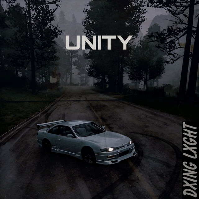 Unity - Single by DXING LXGHT | Spotify