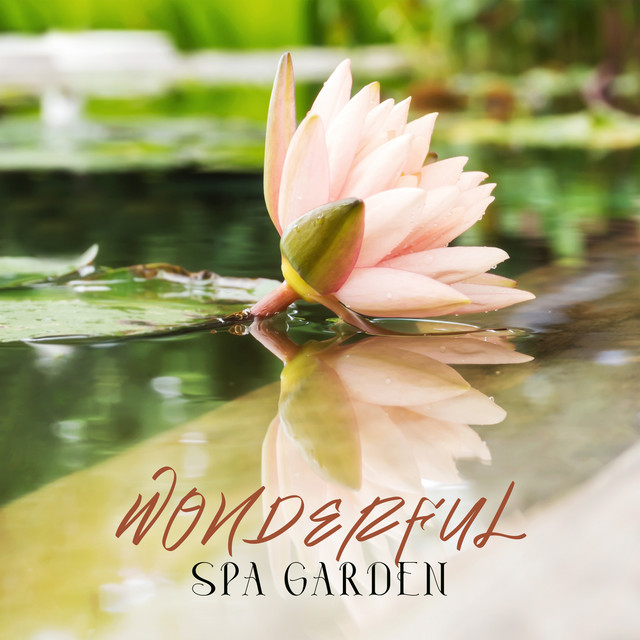 Wonderful Spa Garden: Spa Day Relaxation, Sauna Healing Practice ...