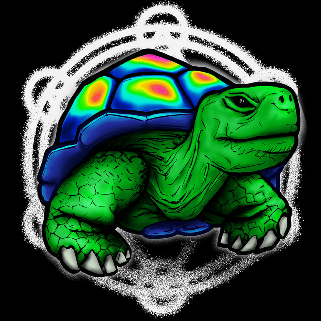 Magic Tortoise | Spotify