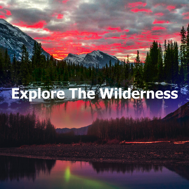 Explore The Wilderness - Album by Deep Sleep Nature Sounds | Spotify
