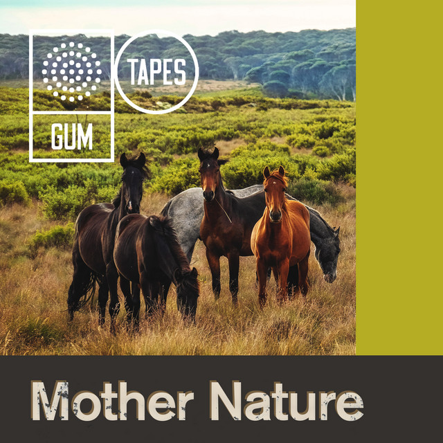 GTP181 Mother Nature - Album by Gum Tapes | Spotify
