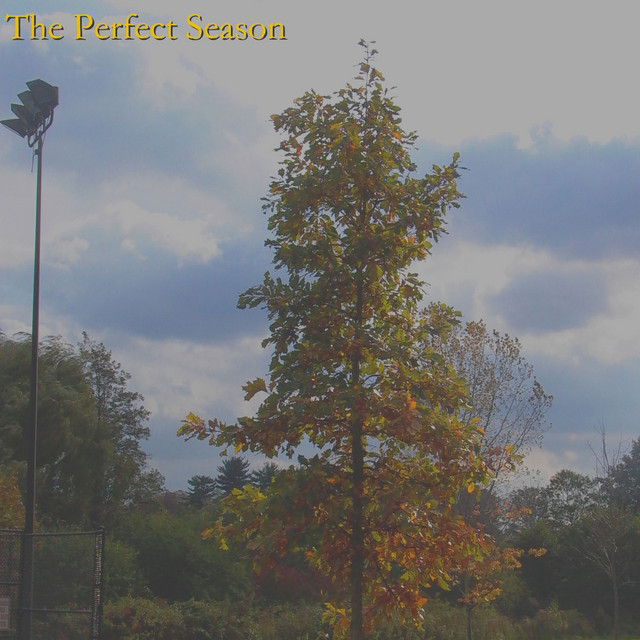 The Perfect Season Concert & Tour History | Concert Archives