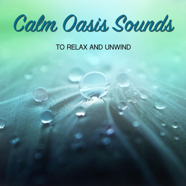 12 Calm Oasis Sounds to Relax and Unwind - Album by Easy Sleep Music ...