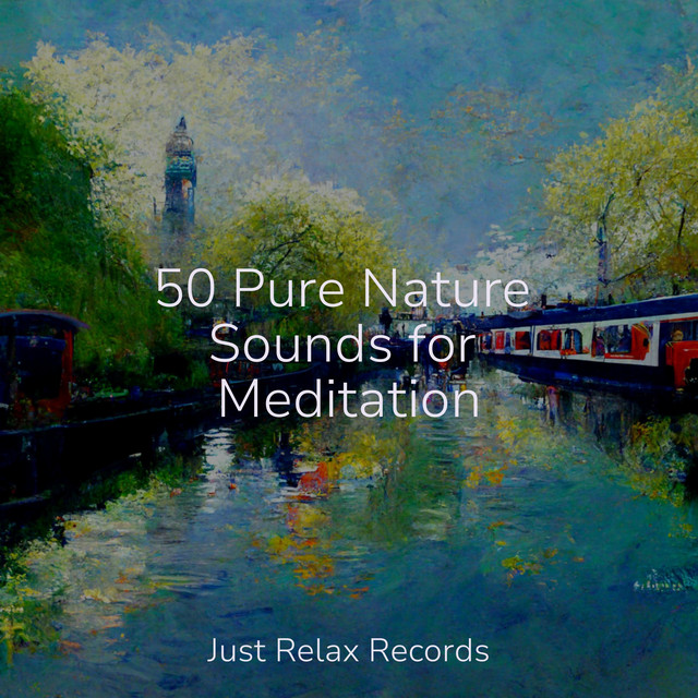 50 Pure Nature Sounds for Meditation - Album by Relajación | Spotify
