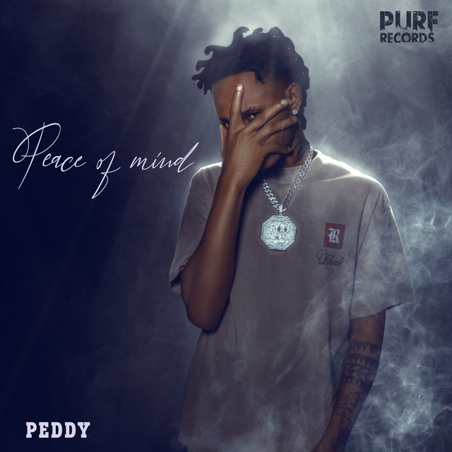 Peace of Mind - Single by Peddy | Spotify