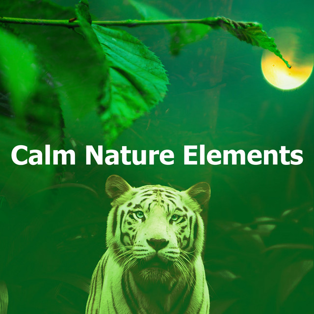 Calm Nature Elements - Album by Nature Element Music | Spotify