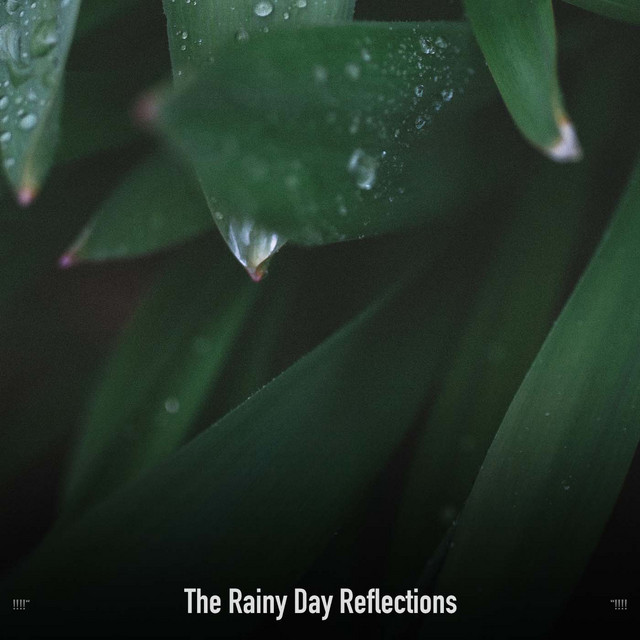 The Rainy Day Reflections "!!!! - Album by Nature Sound Collection ...