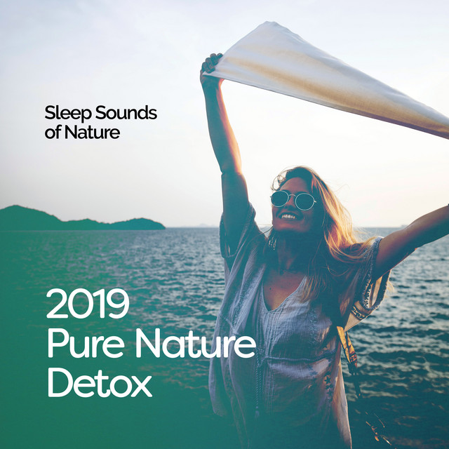 2019 Pure Nature Detox - Album by Sleep Sounds of Nature | Spotify