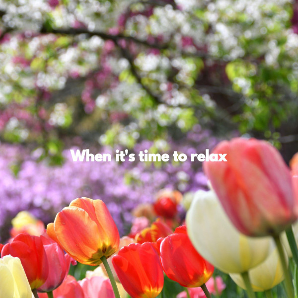 When it's time to relax - Album by Office Music Experts | Spotify