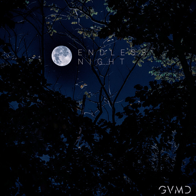 Endless Night - song and lyrics by GVMD | Spotify