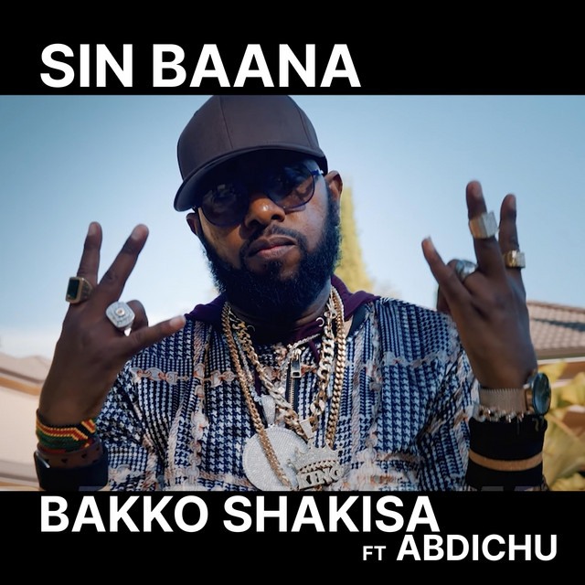 Sin Baana - Single by Bako Shekissa | Spotify