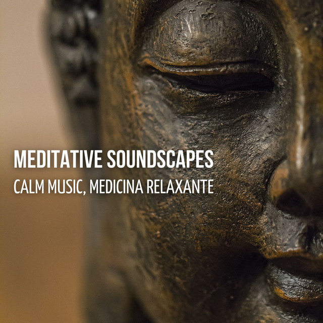 Meditative Soundscapes - Album by Calm Music | Spotify