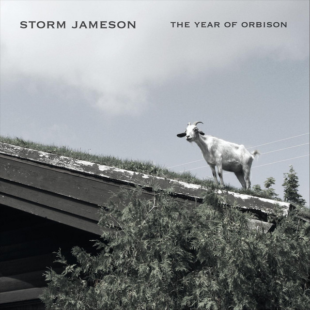 St. Jameson Concert & Tour History (Updated for 2024) | Concert Archives