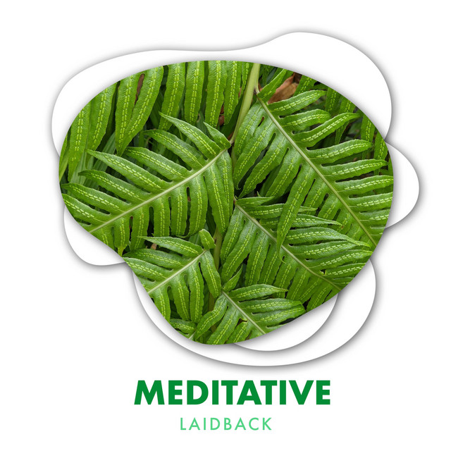zZz Meditative Laidback Nature Sounds zZz - Album by Mother Nature ...