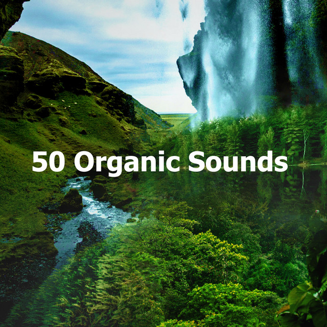50 Organic Sounds - Album by Mother Earth Sounds | Spotify