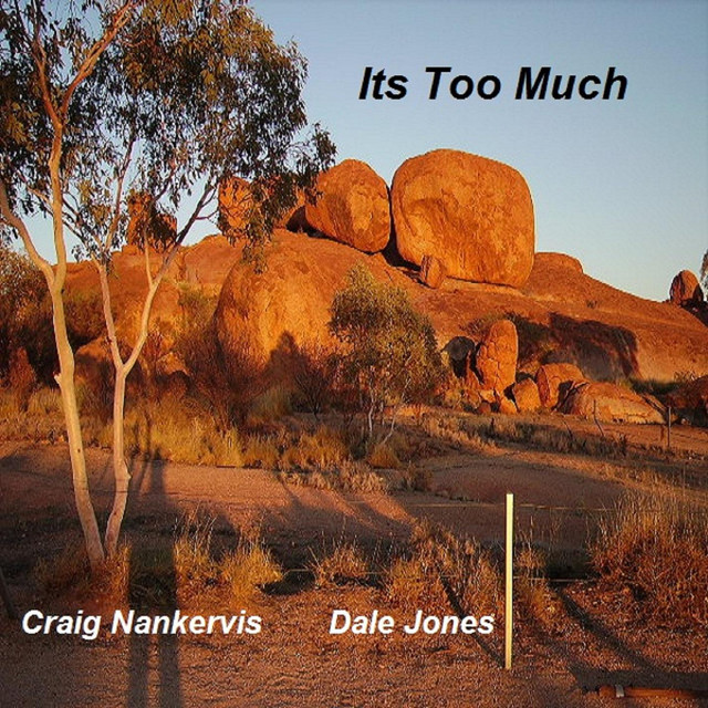Its Too Much - Single by Craig Nankervis | Spotify