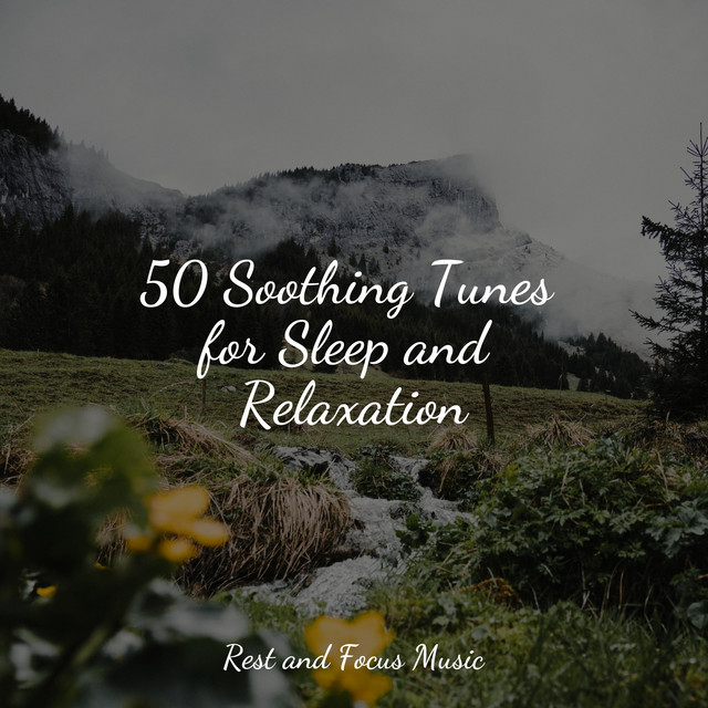 50 Soothing Tunes for Sleep and Relaxation - Album by Sounds of Nature ...