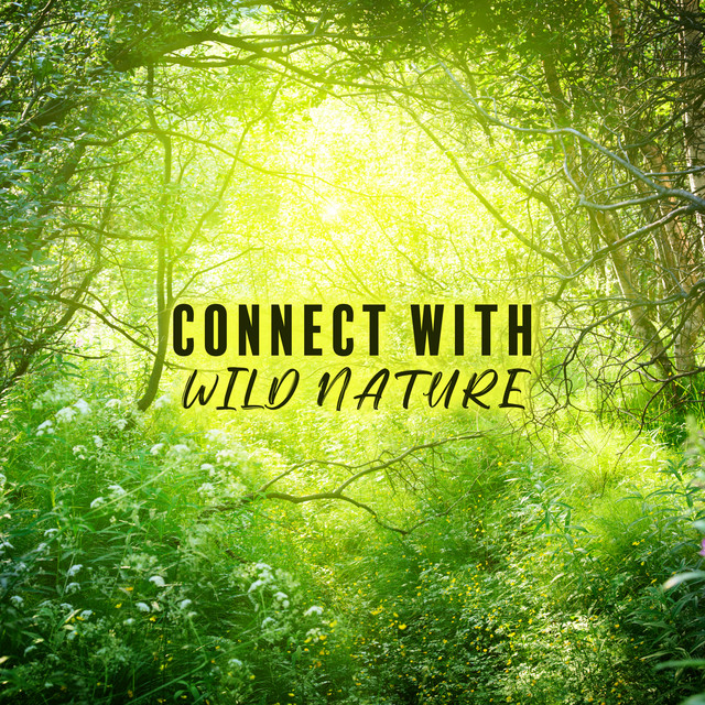 Connect with Wild Nature: Meditation Music, Exotic Nature Sounds ...