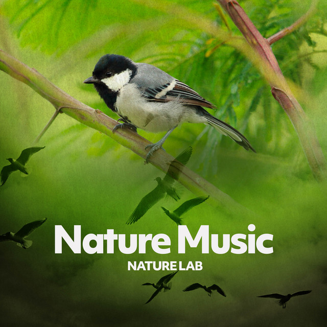 Nature Music - Album by Nature Lab | Spotify