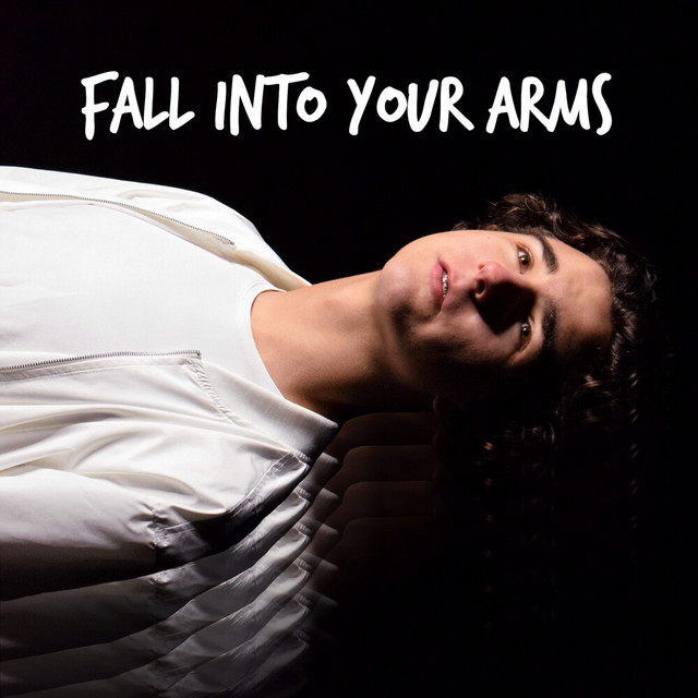 Fall into Your Arms - Single by Benjamin Gedeon | Spotify