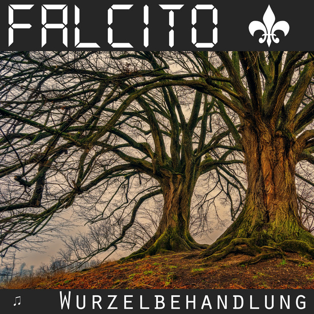 Wurzelbehandlung - EP by Falcito | Spotify