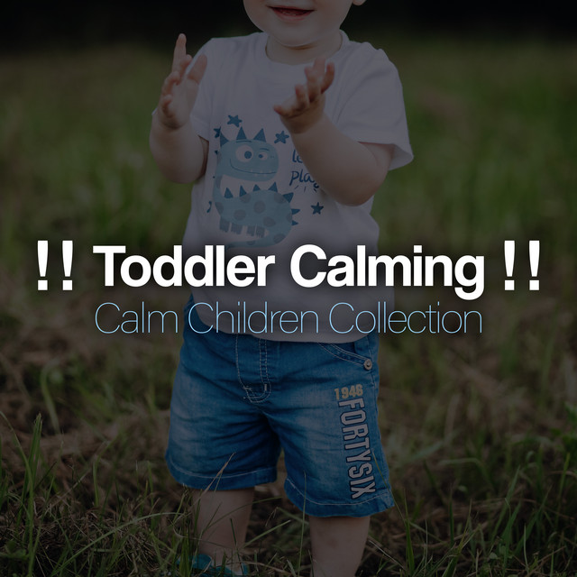 Toddler Calming ! ! - Album by Calm Children Collection | Spotify