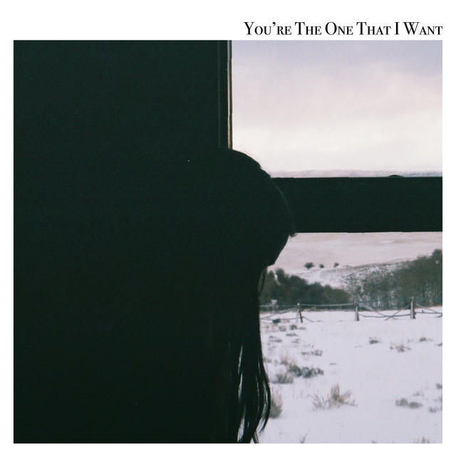 You're the One That I Want - Single by Our Daughter | Spotify