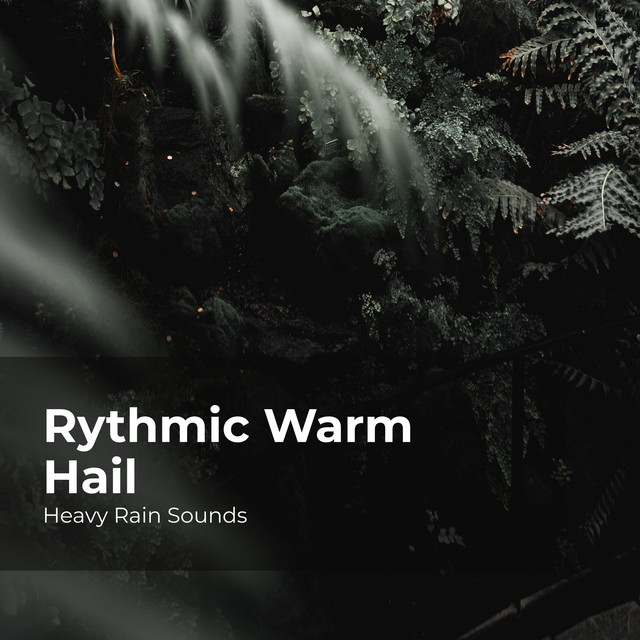 Abundant Rain Showers - song and lyrics by Heavy Rain Sounds, Rain ...